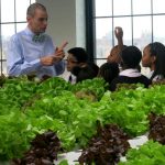 Green Bronx Machine – Fuel the Machine