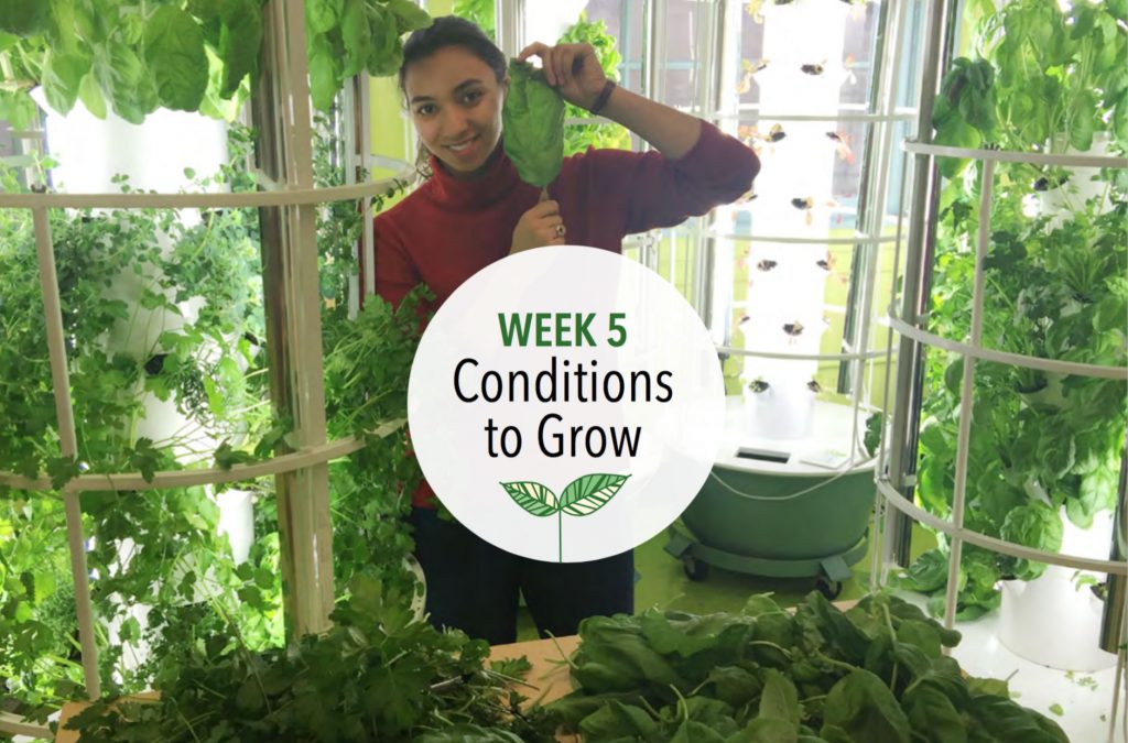 Curriculum Resources Archive | Green Bronx Machine