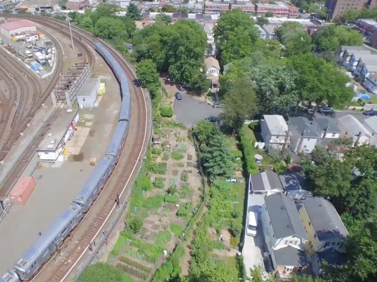 Featured Projects | Learn More | Green Bronx Machine