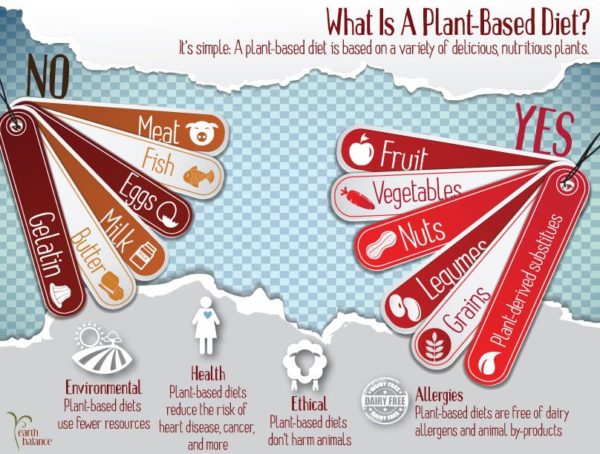 Earth Balance Infographic – Plant Based Diets | Green Bronx Machine