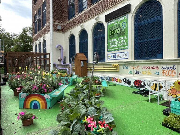 Inspired Education | By Stephen Ritz | Green Bronx Machine